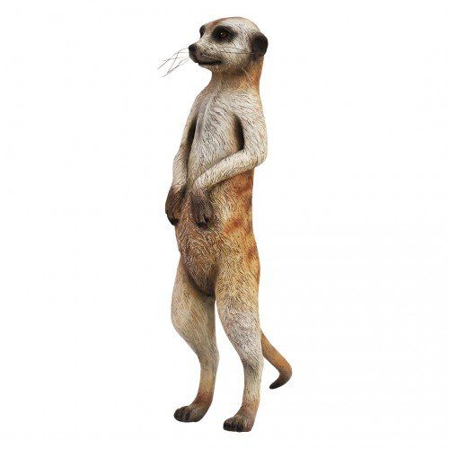 Life Size Models | Home