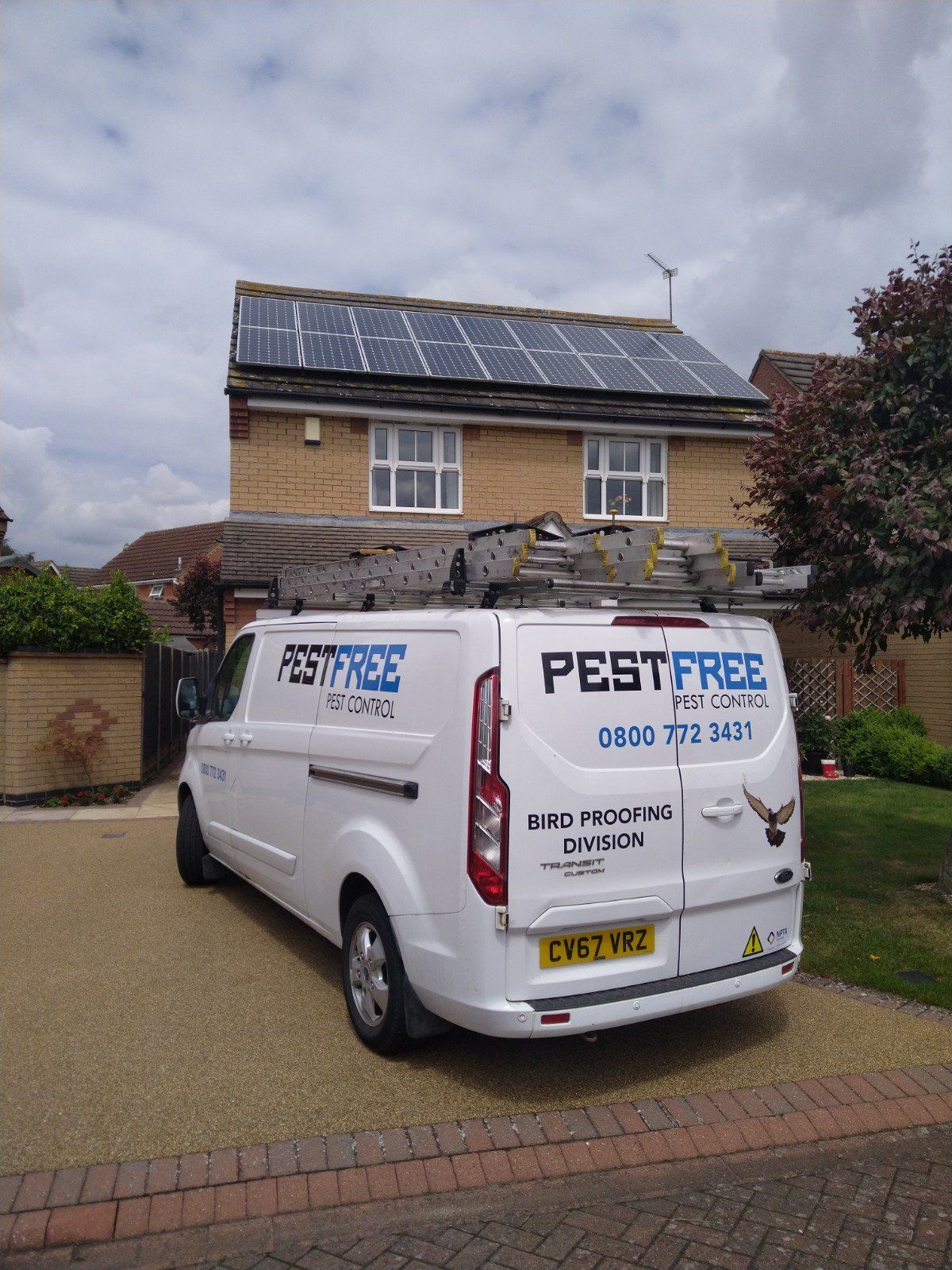 Pestfree Pest Control | Solar Panel Bird Proofing | Solar Panel Cleaning