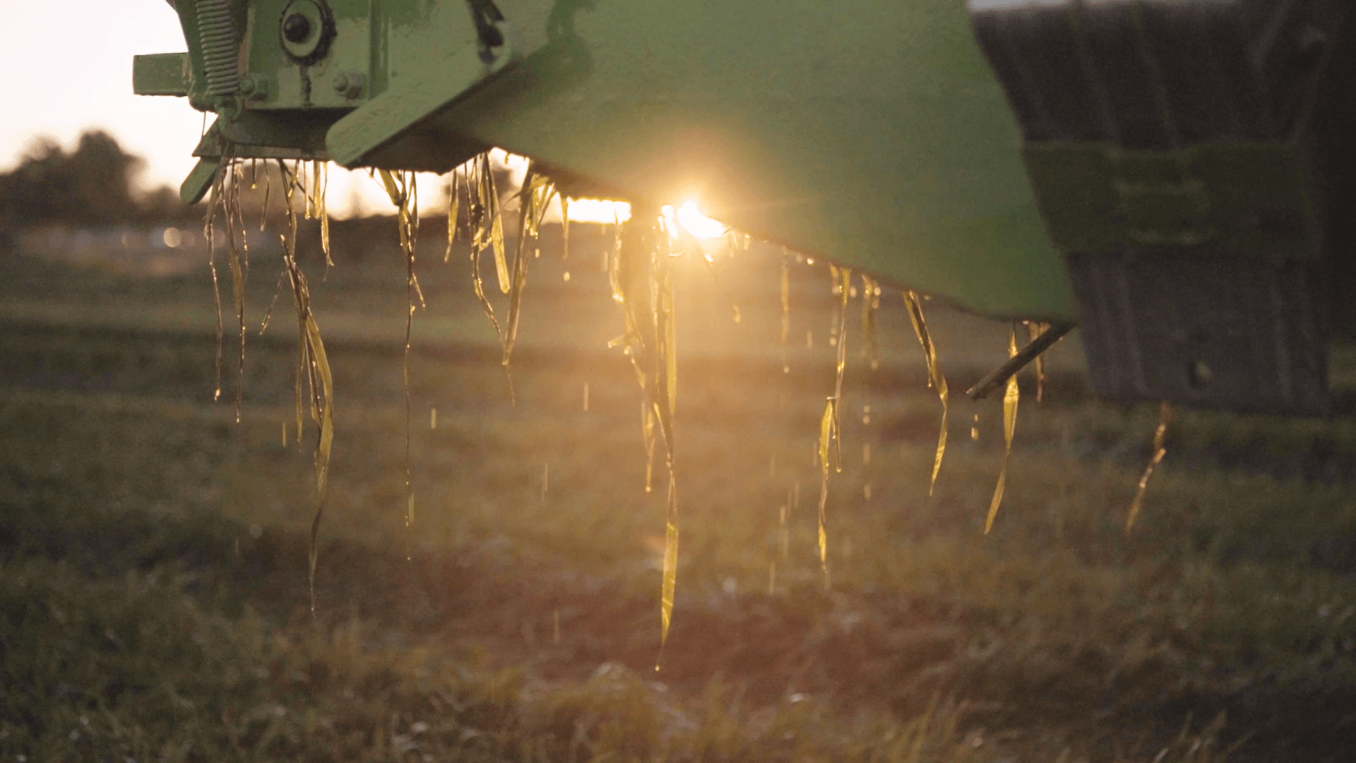 Producing the Best Certified Organic Plant Powders Supplied Worldwide