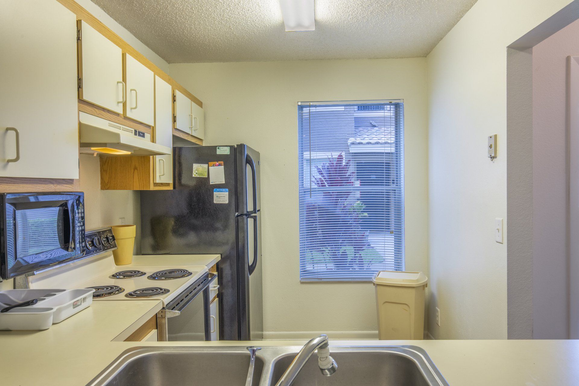 Coral Falls | Landmark Companies