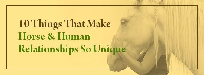 10 Things That Make Horse & Human Relationships So Unique