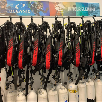 Dive Centre for Scuba Diving Wollongong | Dive Near Me
