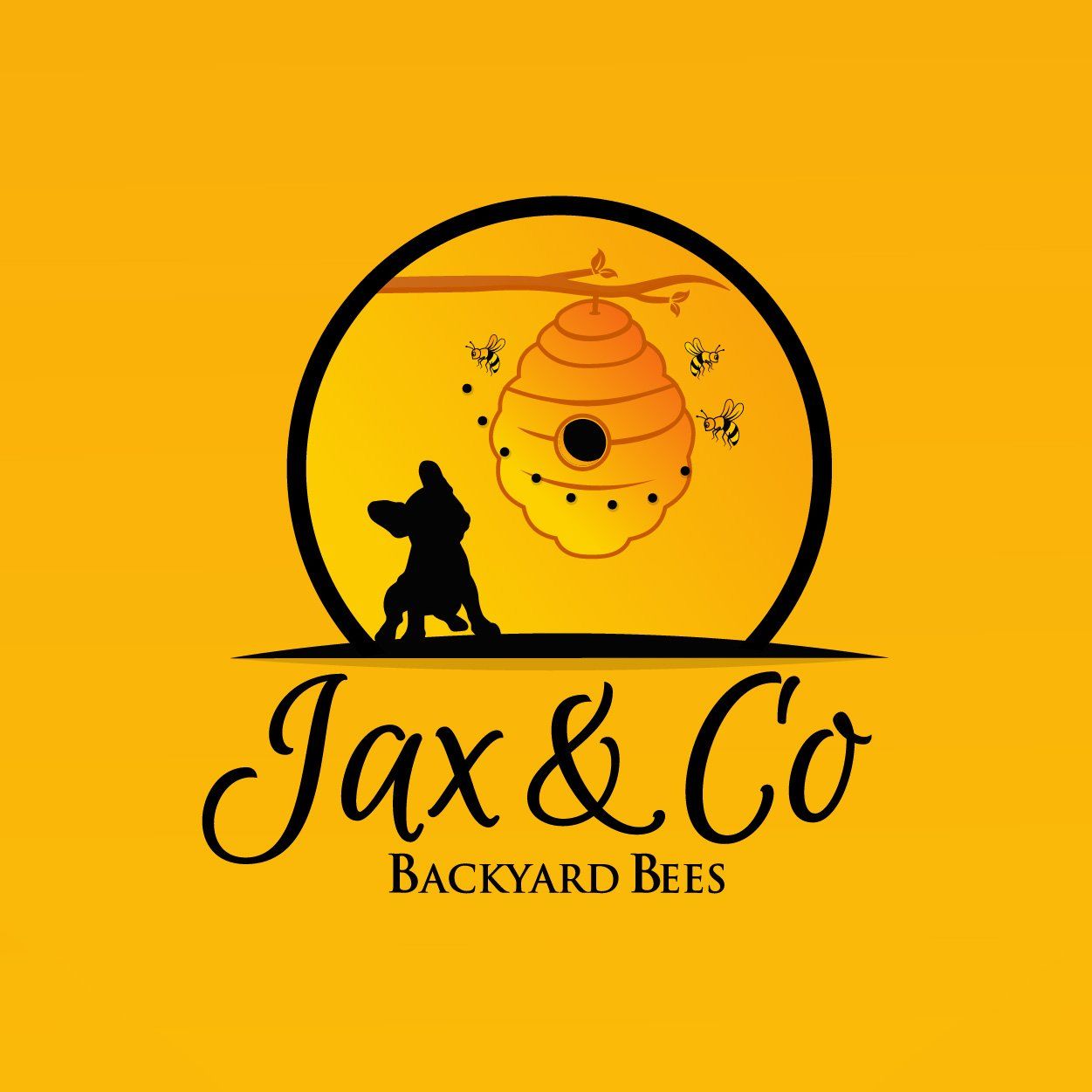 Jax & Co. Backyard Bees