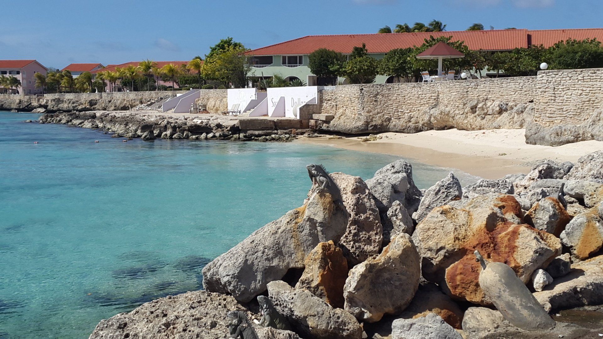 Gallery | Sand Dollar Bonaire