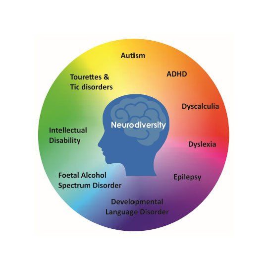 Understanding Others In A Neurodiverse World