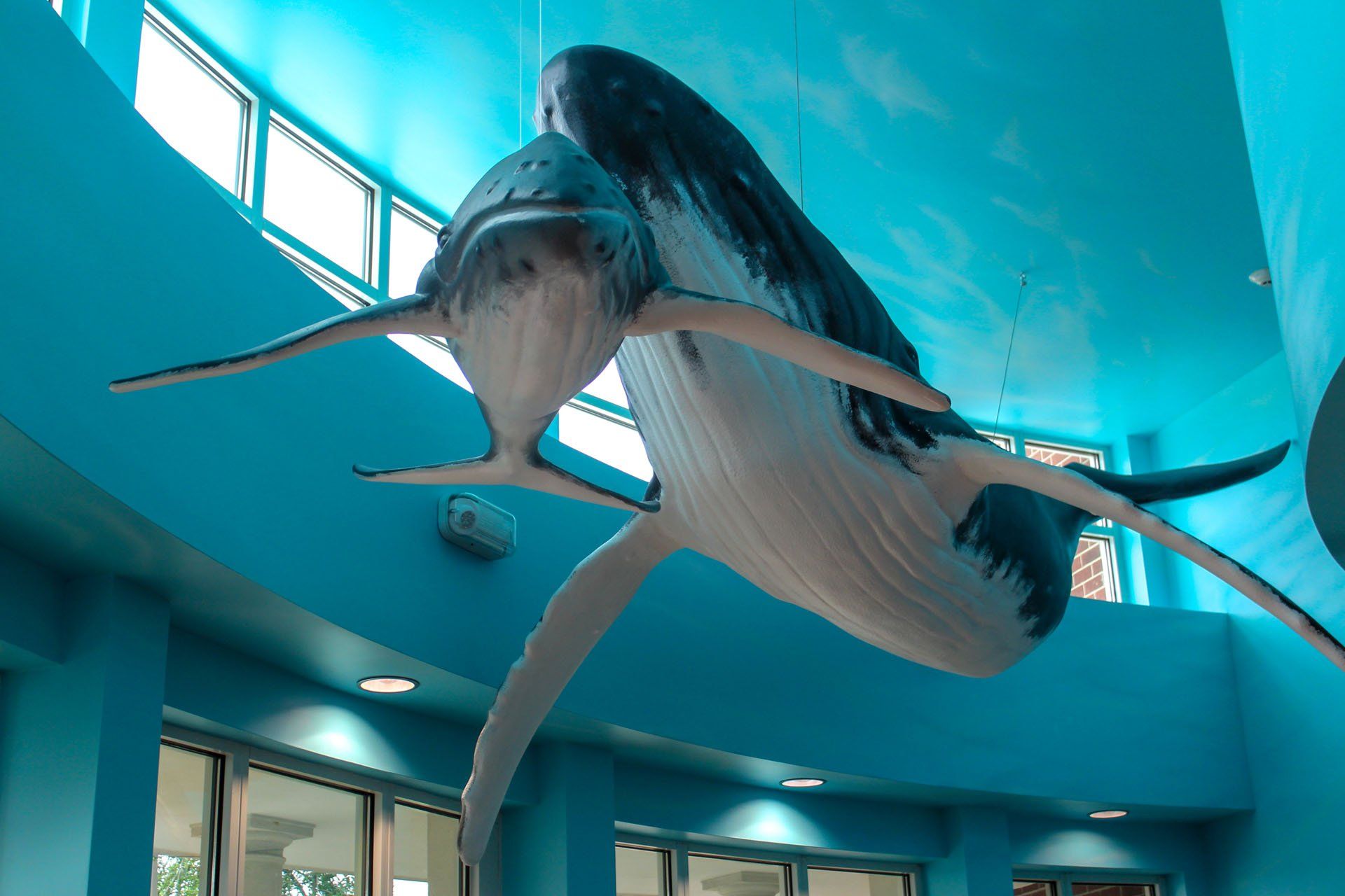 Meet Our Dentists | Village Kids Dentistry