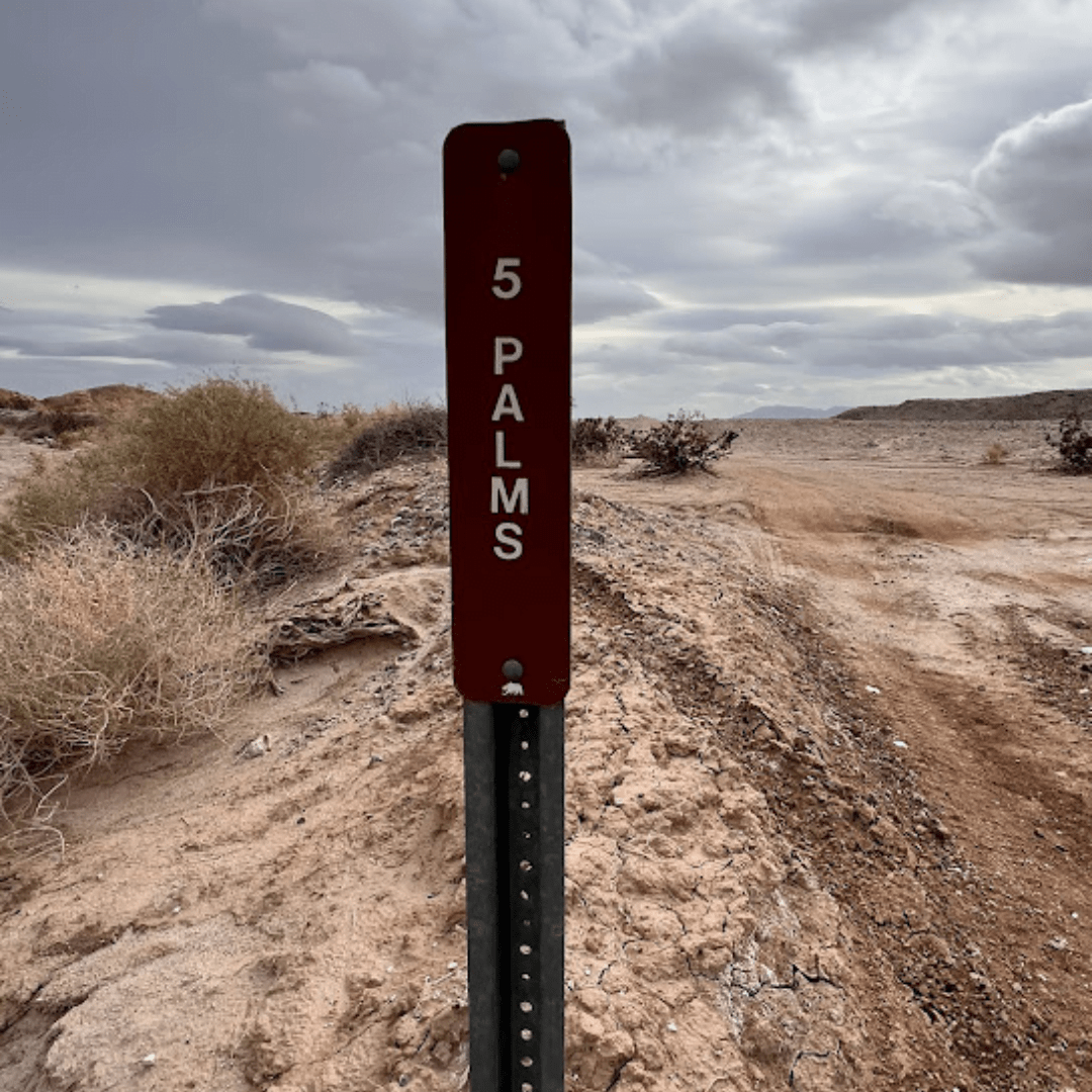 Anza-Borrego Desert State Park: The 5 Palms Oasis