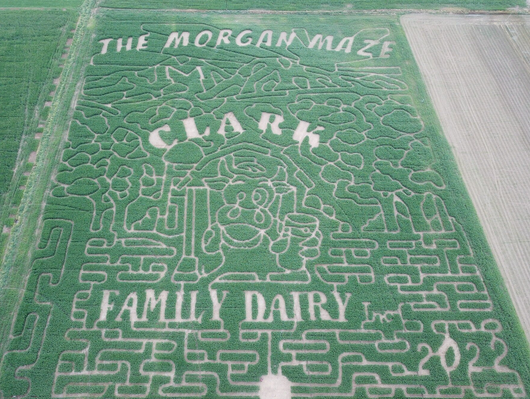 Welcome to The Morgan Maze - Your Ultimate Fall Adventure