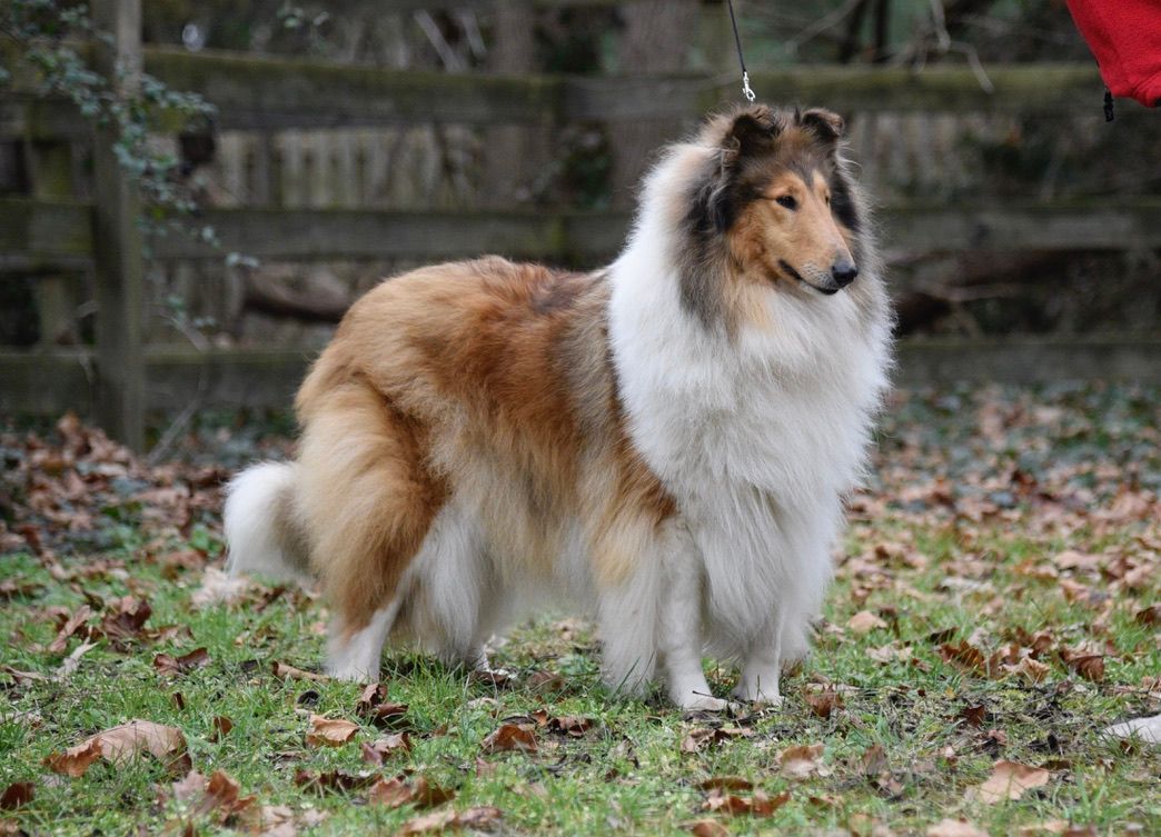 Adults for Sale | Millville, NJ | 856-825-4856