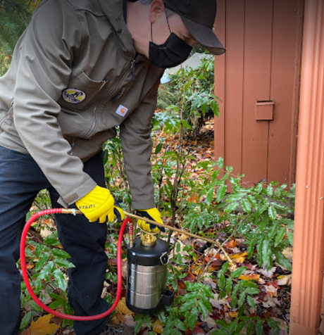 Ground Pest Control Hillsboro Oregon and Surrounding Areas