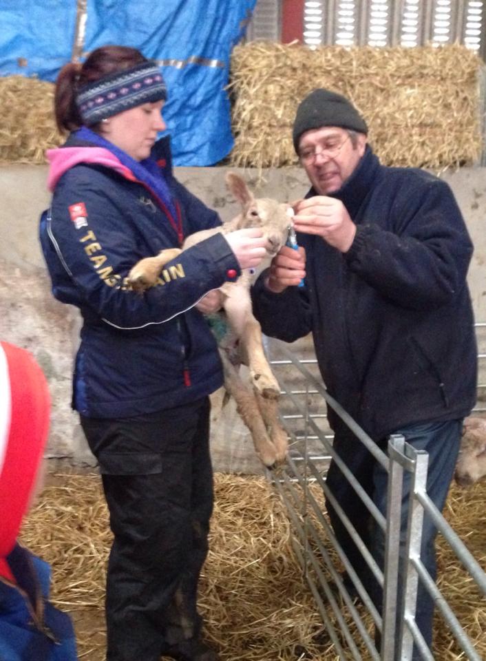 Dalmore Farm