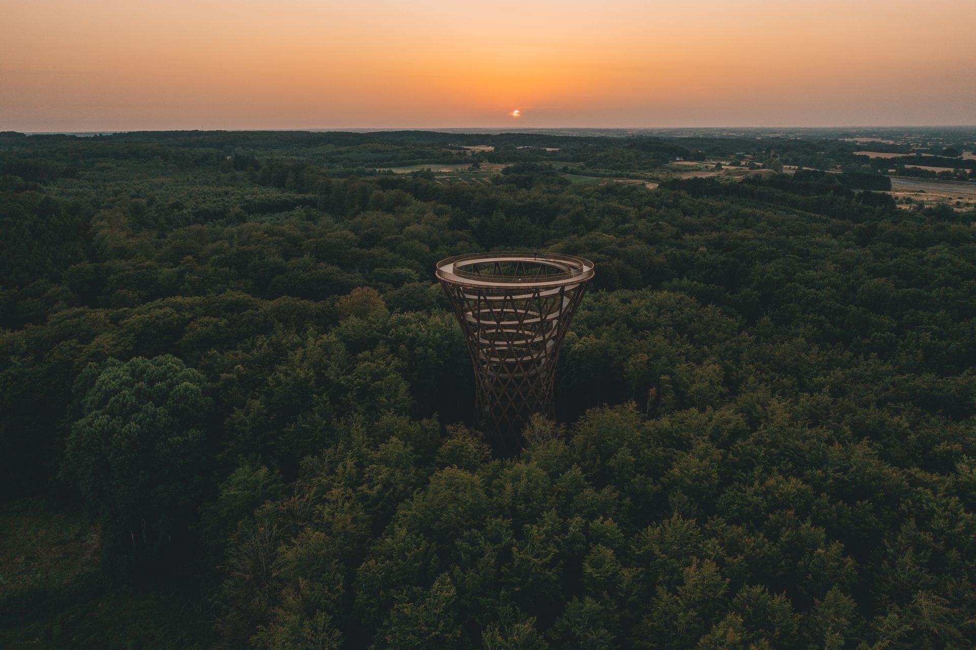 Forest Tower