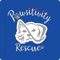 Need Assistance | Pawsitivity Rescue