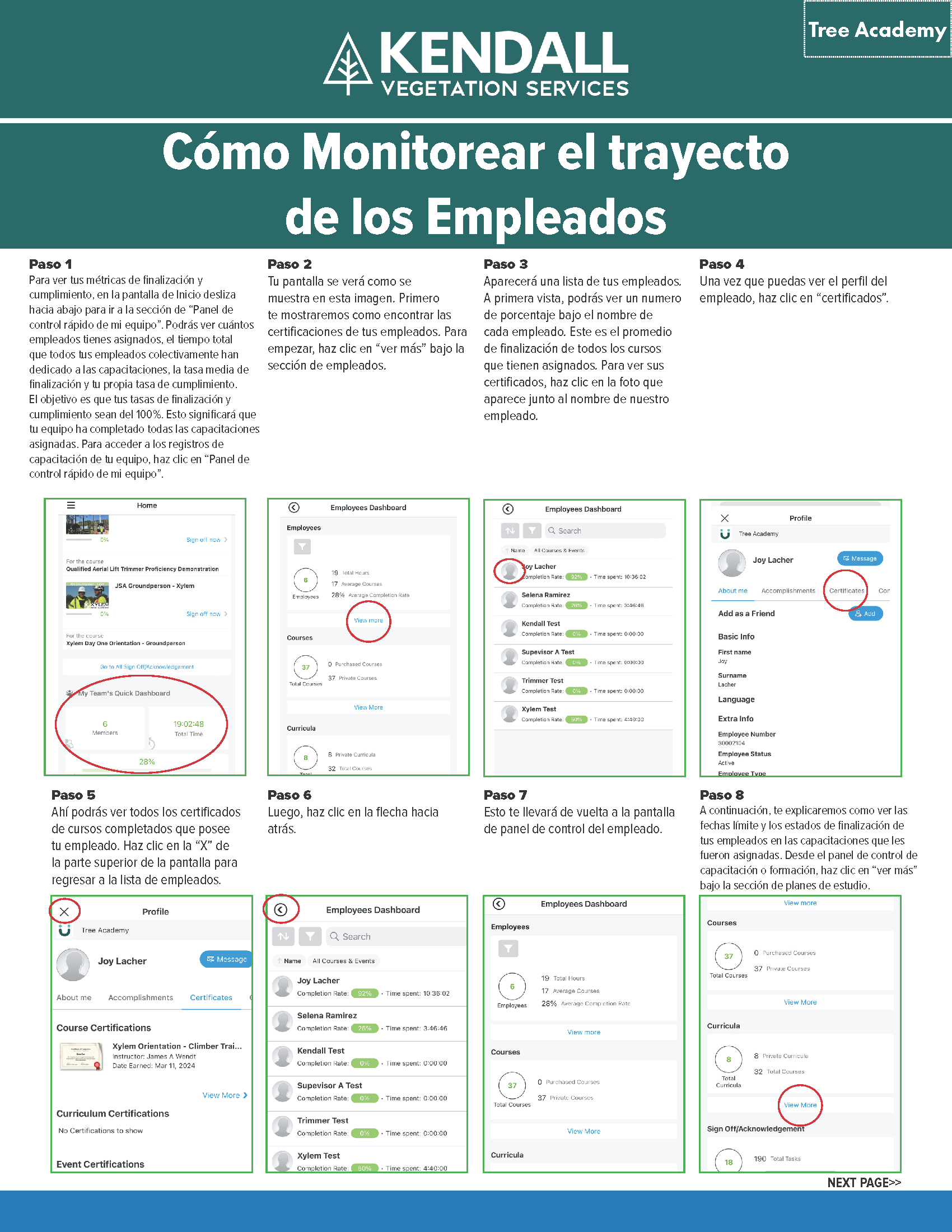 Professional Tree Service Company | Kendall Vegetation