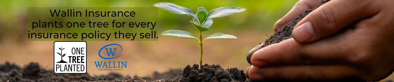 Elmira New York Insurance Agency Wallin Insurance