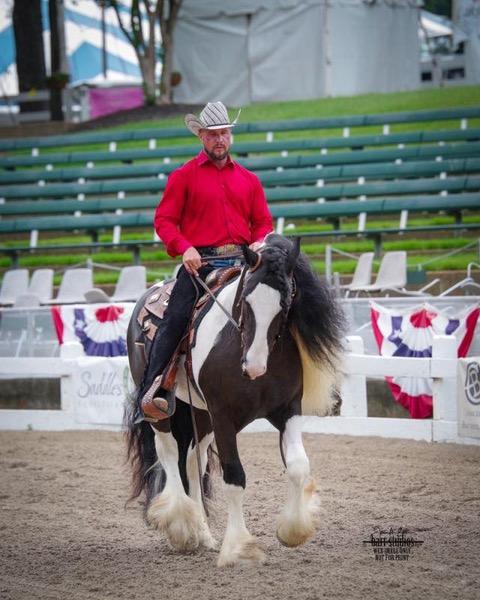 WELCOME [www.shenandoahgypsyvanners.com]
