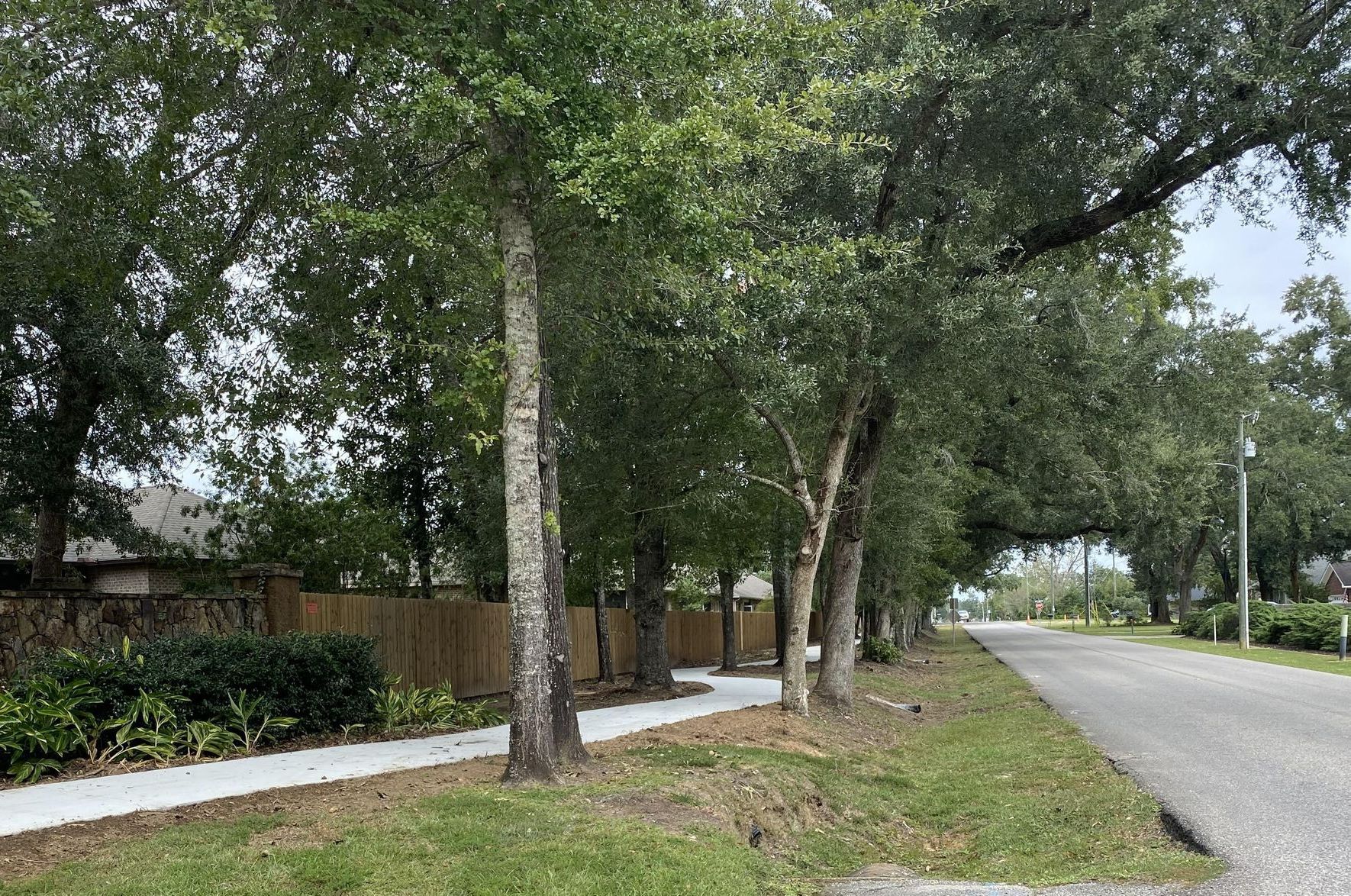 Foley To Build Tree Buffers Along Roads