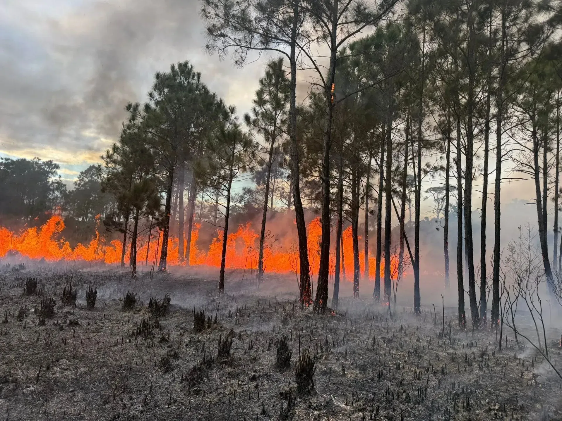 Local Fire Departments Joined Fight To Protect Fort Morgan