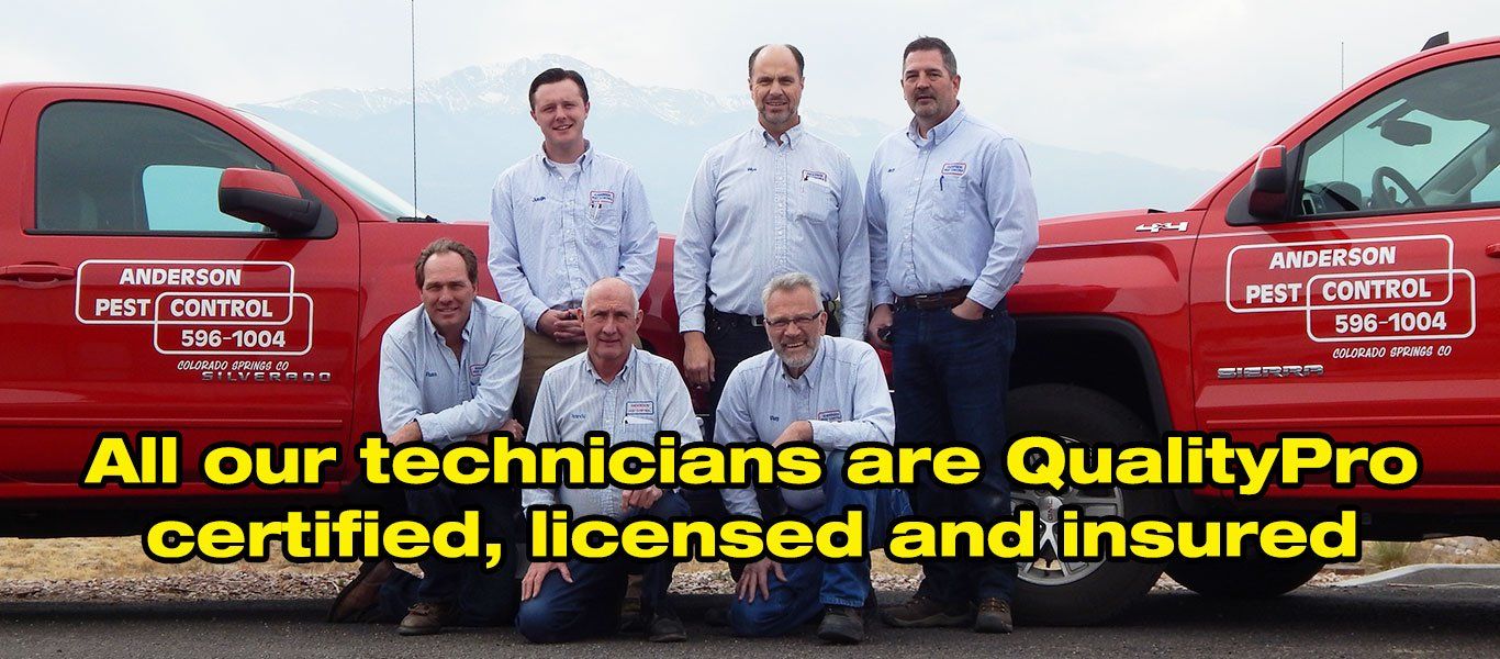 Anderson Pest Control - Colorado Springs' Premiere Pest Control Service
