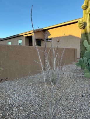 Home [therocksoliddesigns.com]