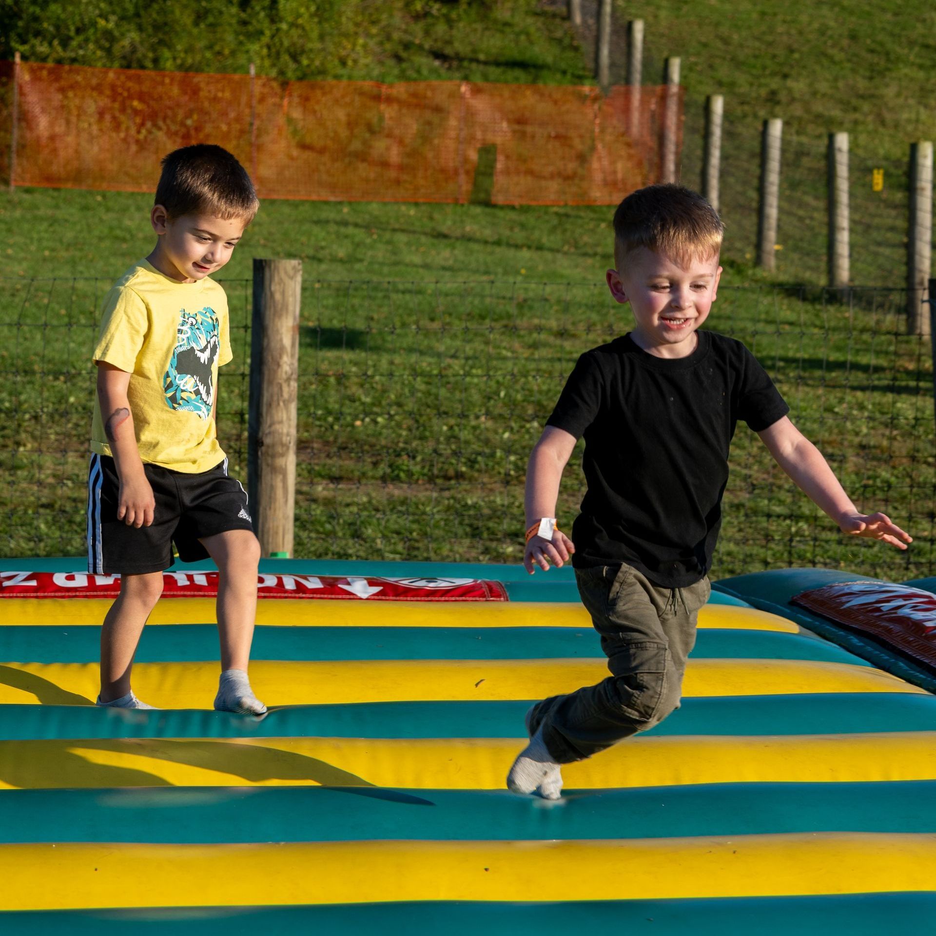 Mazezilla Family Fun