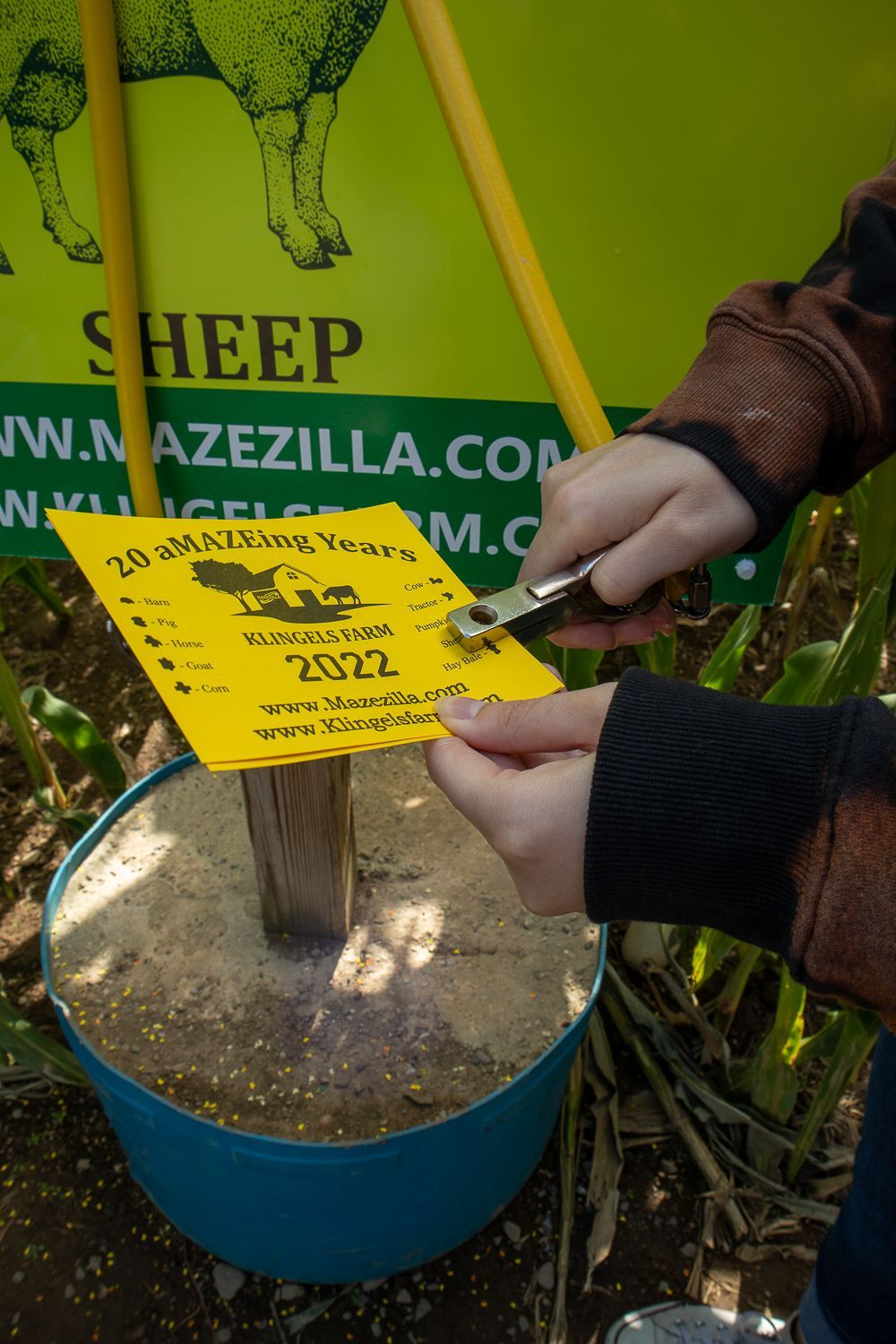 Corn Maze & Farm Fun | Mazezilla | Saylorsburg, PA