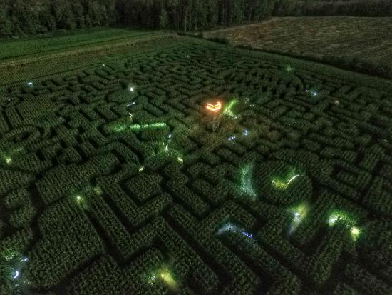 Mazezilla | 11-Acre Corn Maze in the Poconos, Pennsylvania