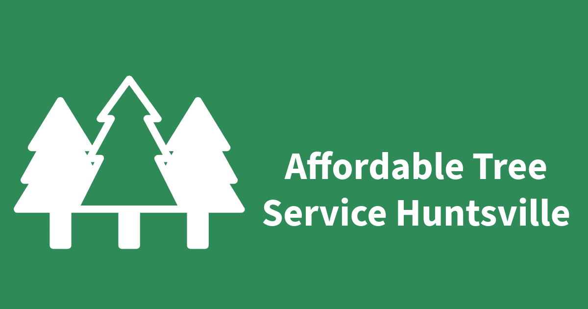 Tree Care Experts | Affordable Tree Service Huntsville
