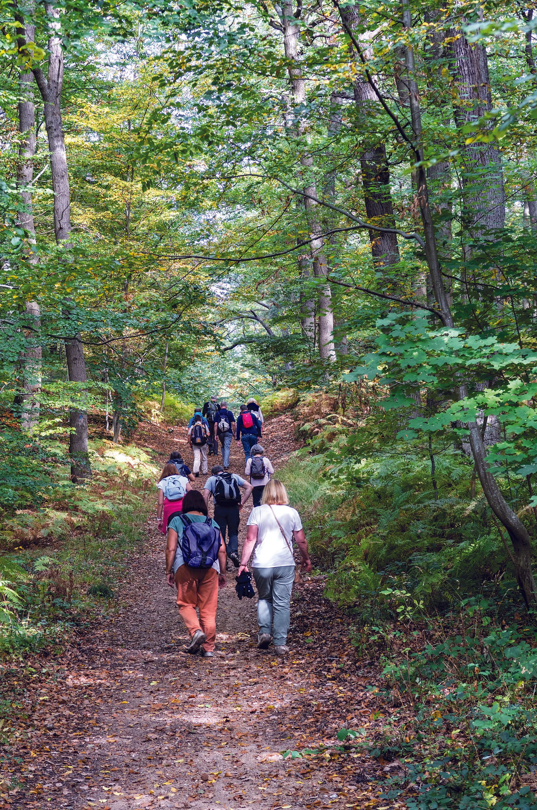 Home [www.kyriefarm.ie]