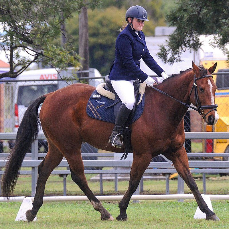 Fairholme College Equestrian Team