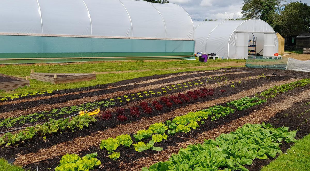 Oklin UK & Ireland | Case Studies