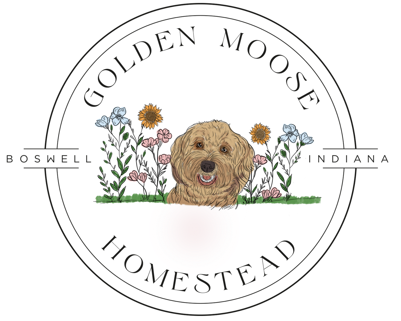 Puppies of Golden Moose Homestead