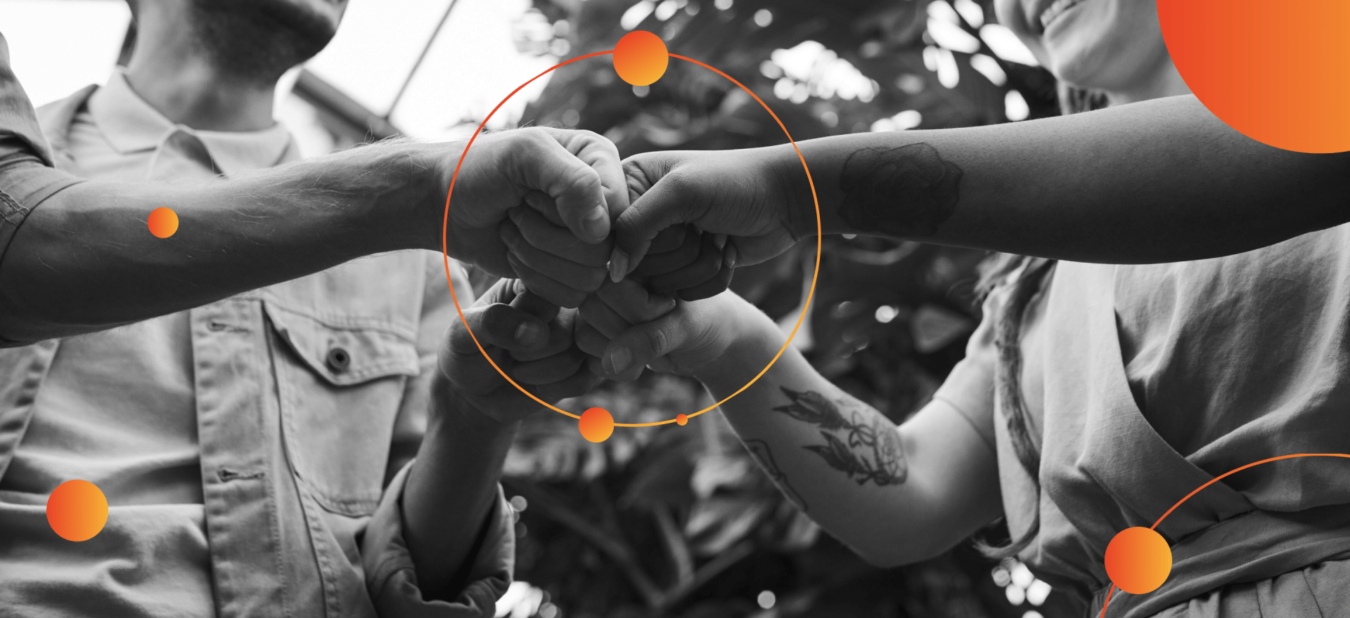 Faltam poucos dias para o Dia de Doar: entenda o que é o Dia de Doar e ...