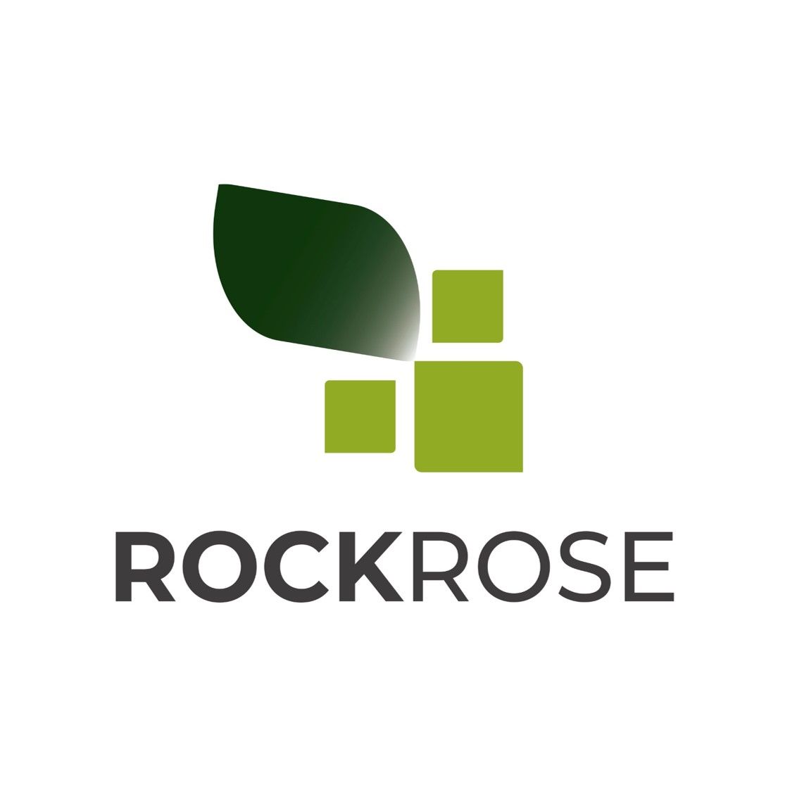 Rockrose, Lda | Consultoria e soluções tecnológicas