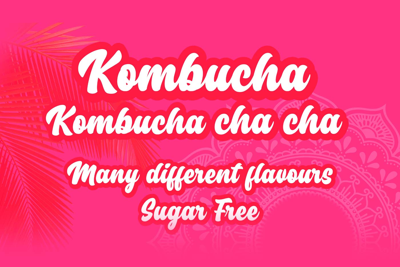 Kombucha - Sparkling prebiotic drink