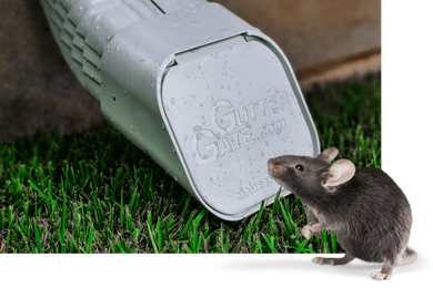 Mouse In A House Clipart Gutters