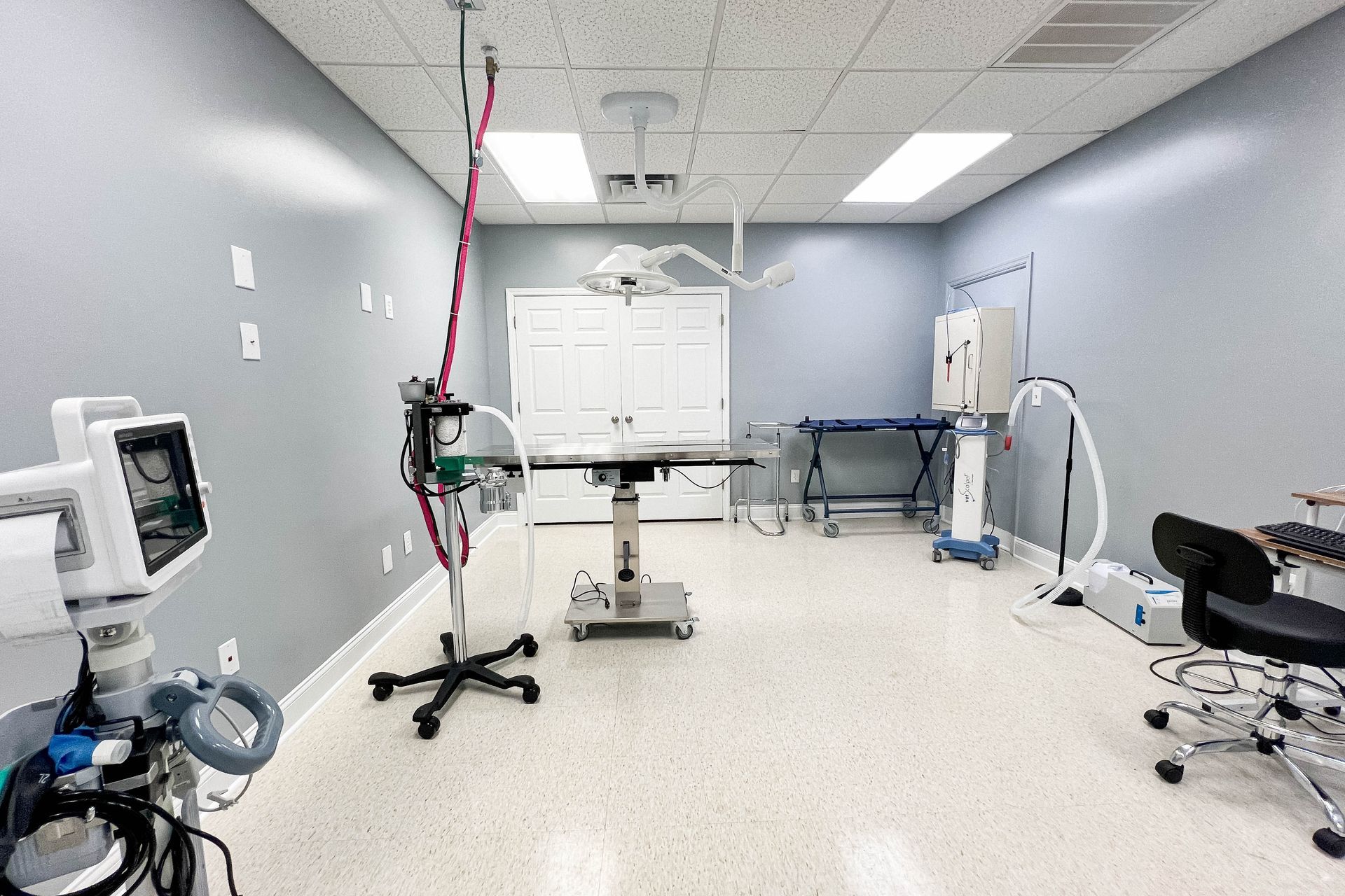Veterinary Clinic | Advanced Animal Care | Richmond, KY