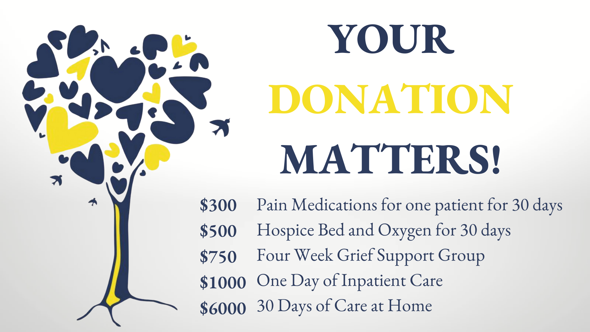 Why Fundraising is Important to our Mission