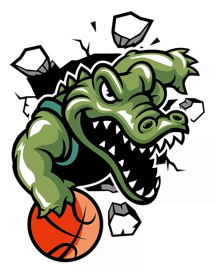 Your Guide to Gator Basketball in Gainesville