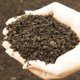 Soil Coffs Harbour | Delivery Available | MI Organics