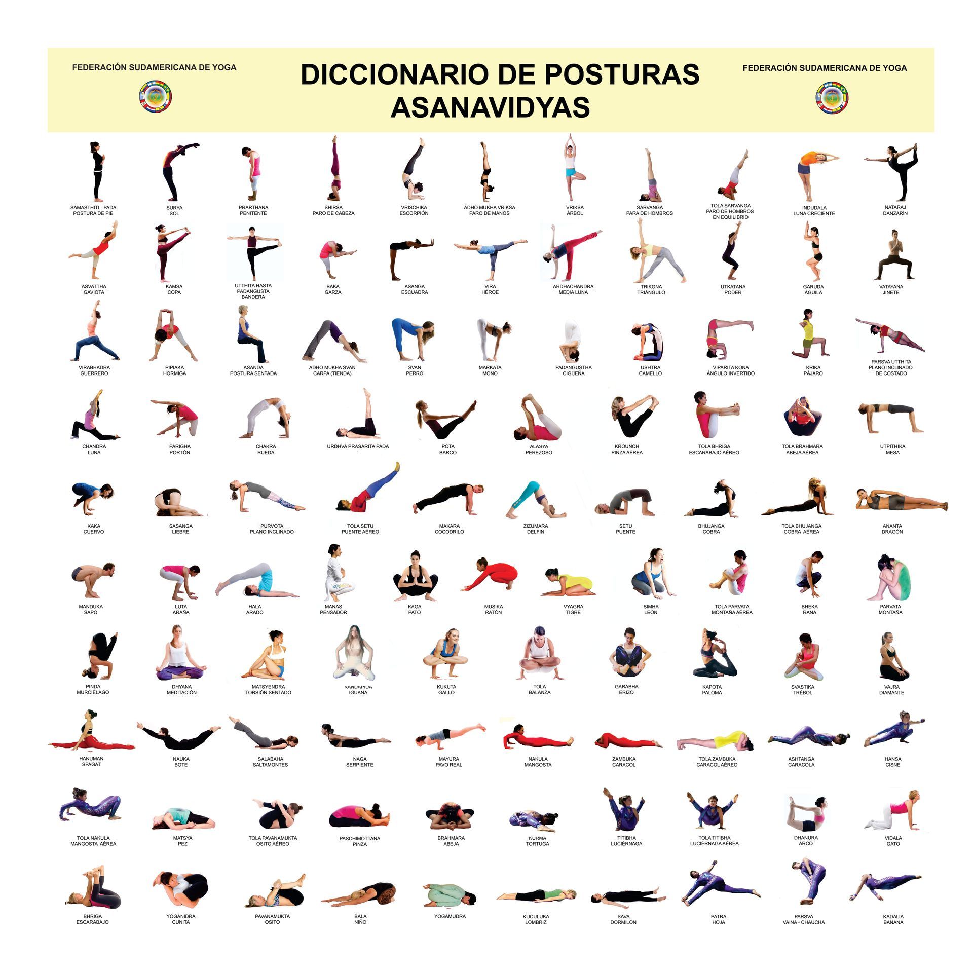 DICCIONARIO DE POSTURAS