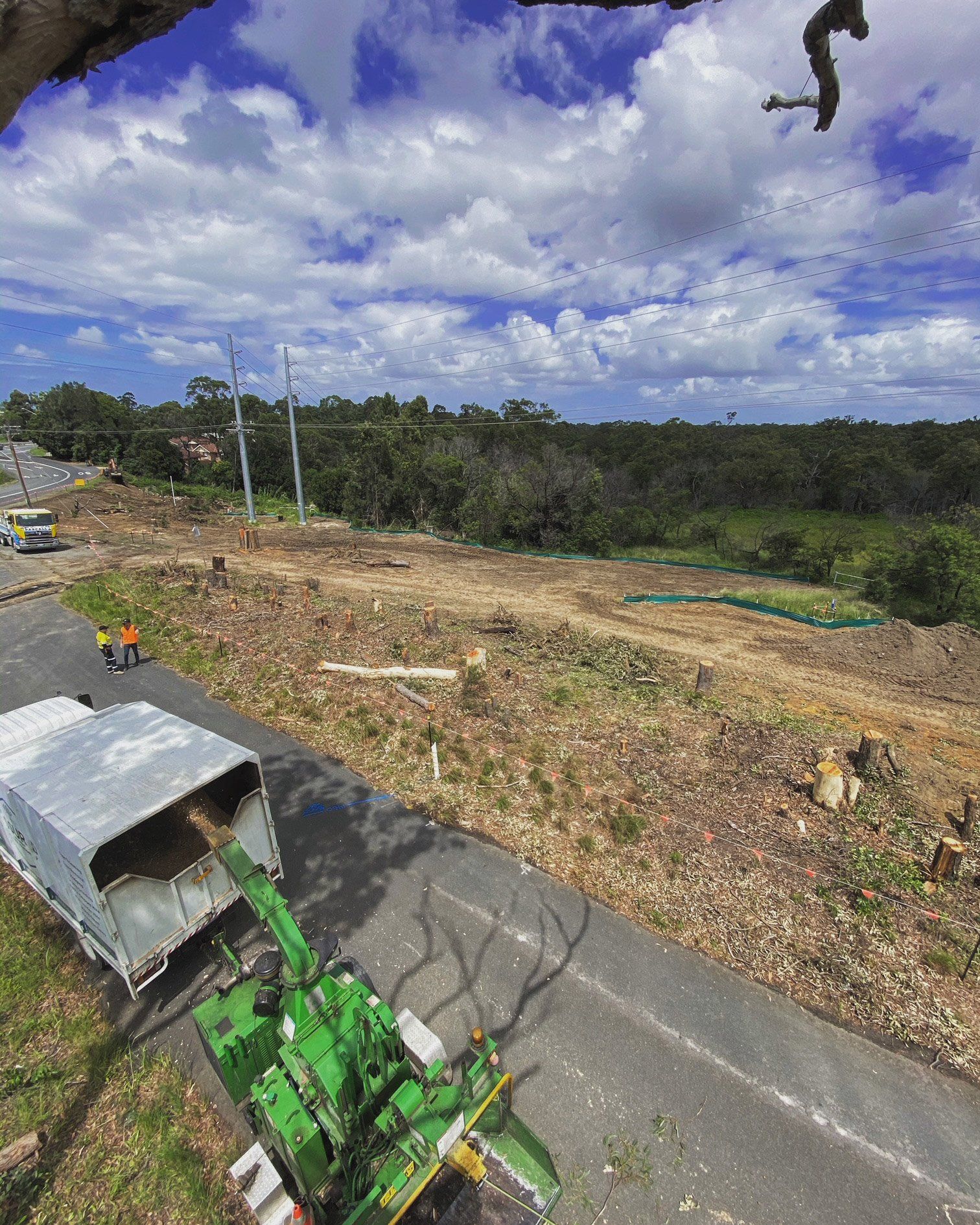 Quality Tree Care Solutions | Assured Tree Solutions