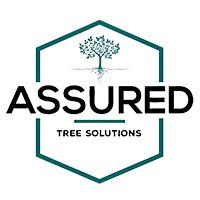 Contact | Expert Tree Care Services | Assured Tree Solutions
