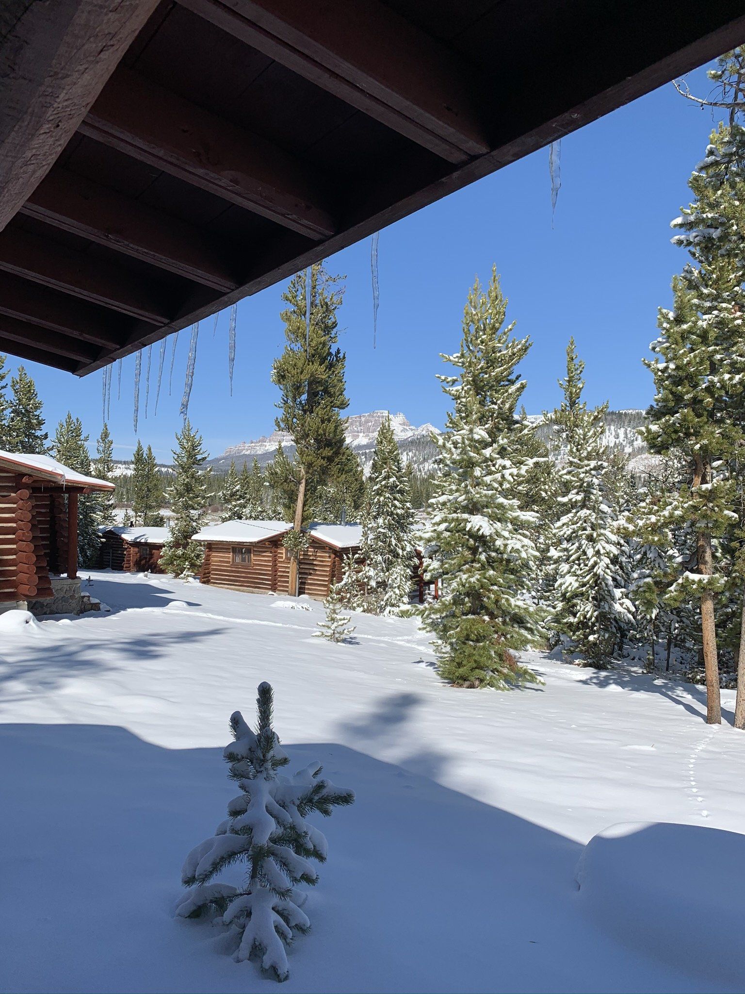 Preserving Heritage & the Land, Experience it! | Double Bar J Ranch