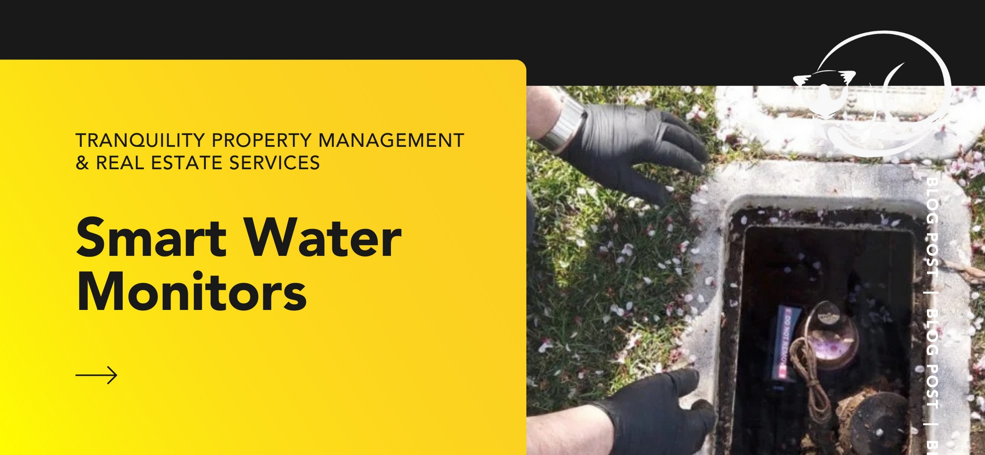 Smart Water Monitors: Why Every Property Owner Needs One