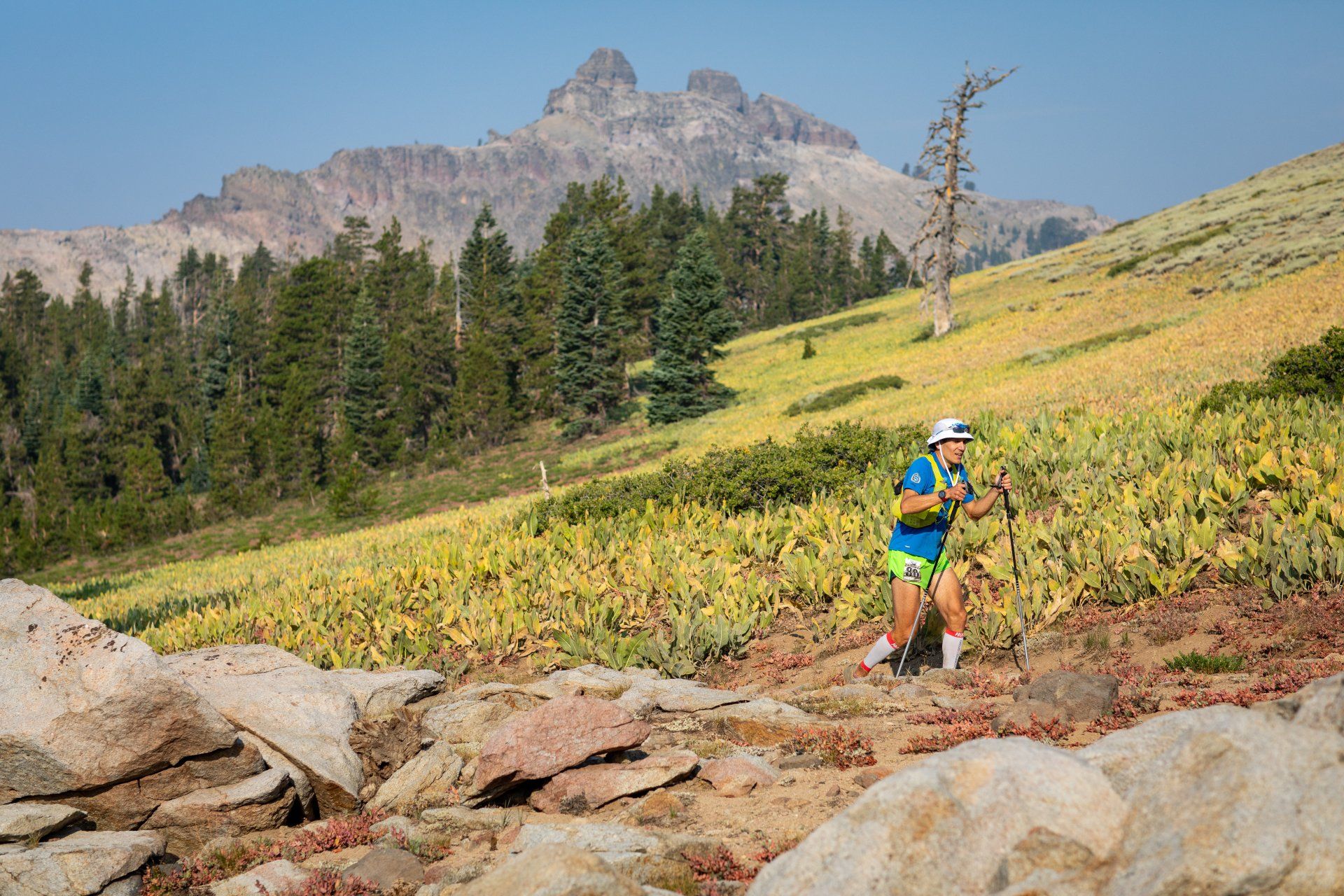 Auburn Running Compnay