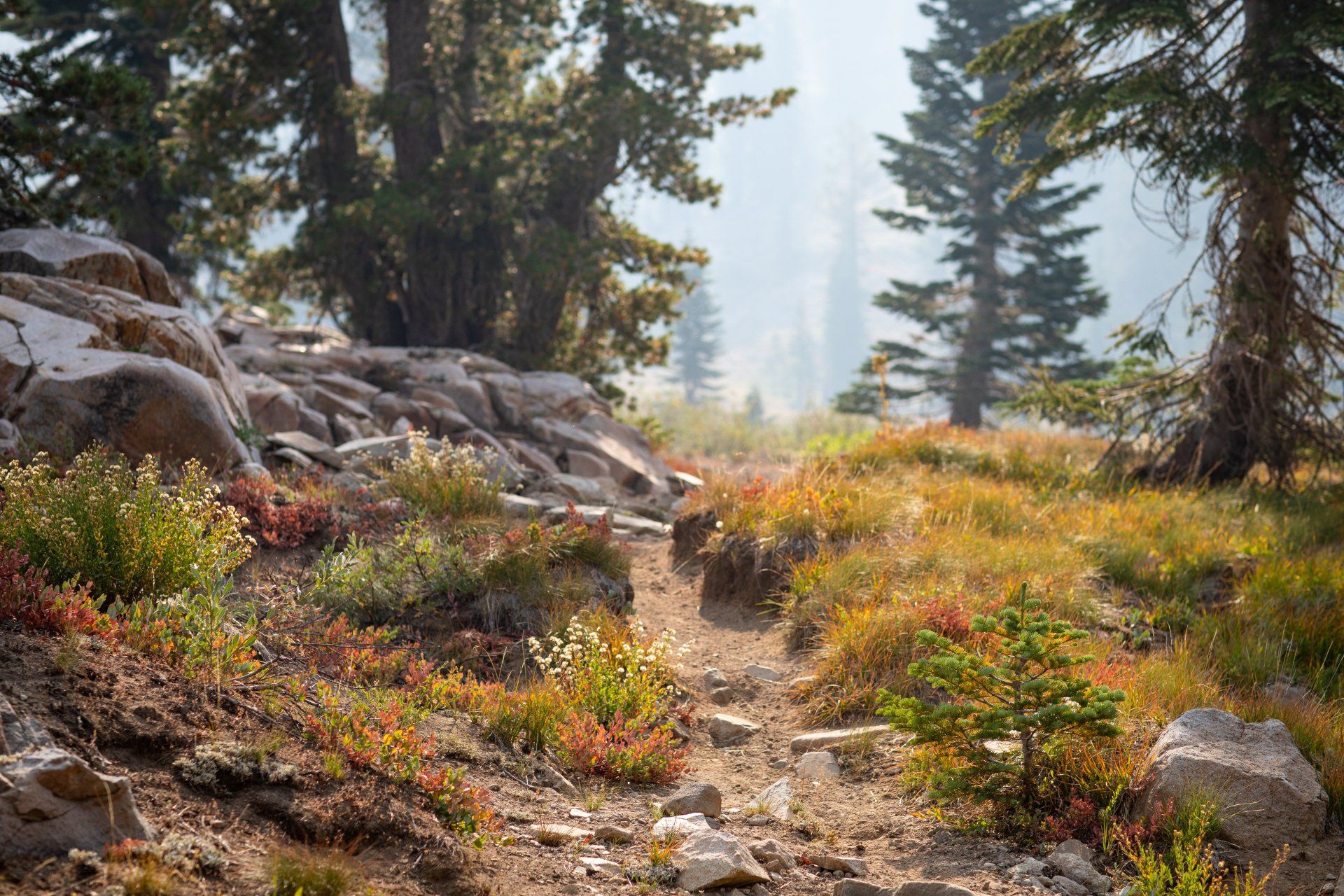 Auburn Running Compnay