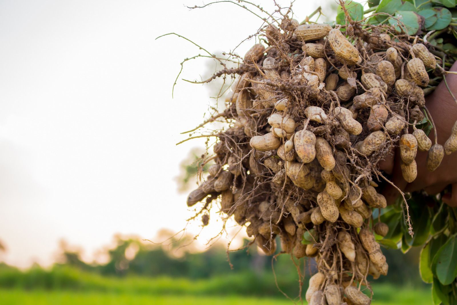 December Report 2023