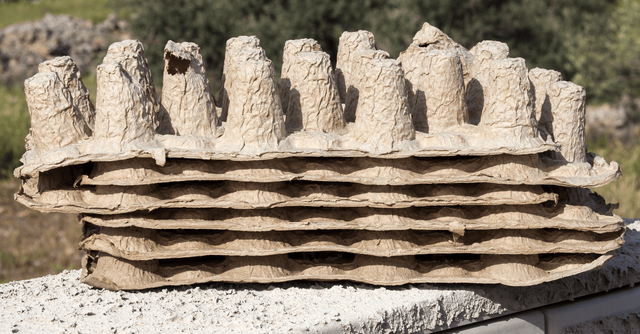 Things That Are Made Out Of Trees The Magic And Mystery Of Trees, Kids