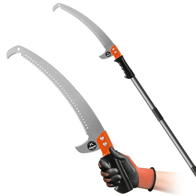 Palm Tree Trimming Tools